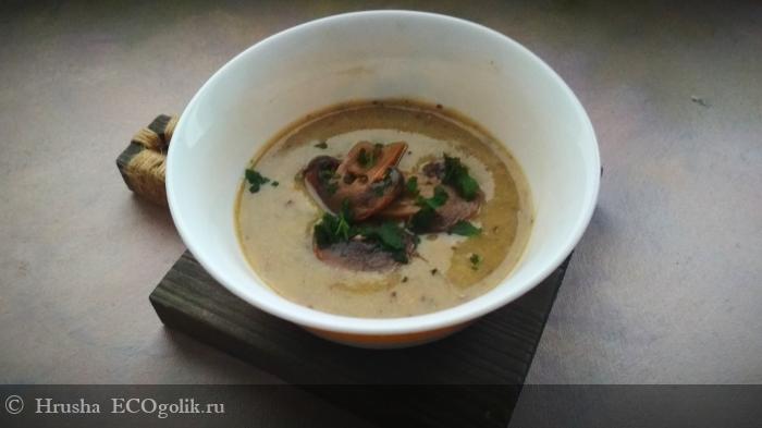 Протеиновый грибной крем-суп (milk protein) Bionova | Отзыв | Hrusha